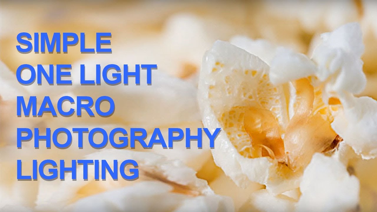 Super Simple Macro Photography Lighting You Can Easily Use to Take ...