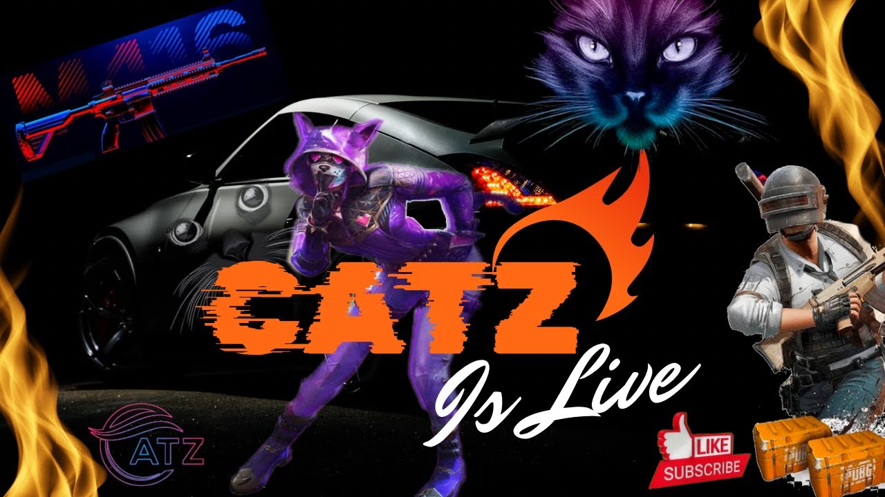fun pandrooo ️‍🔥 meowzzz | Catzislive | #pubgmobile #bgmilive # ...