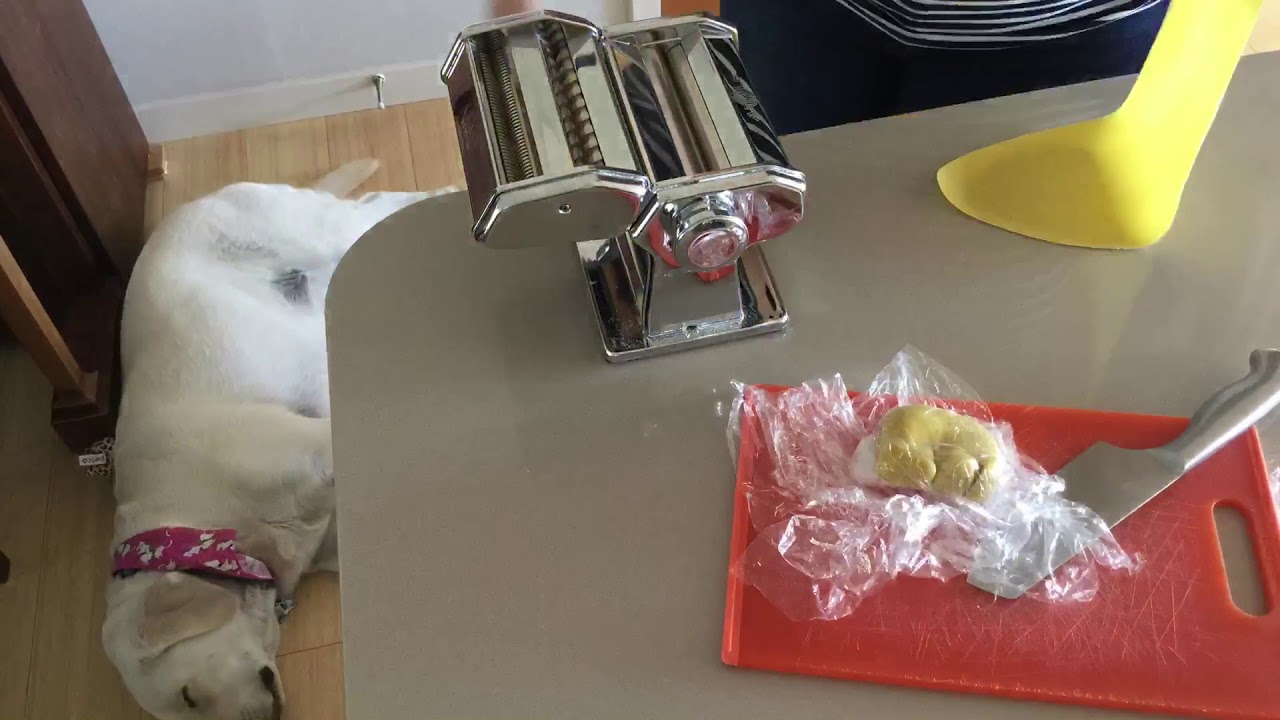 Time lapse making fresh pasta. - YouTube