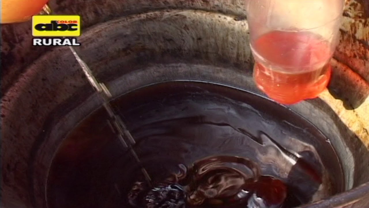 Biodiesel a partir de aceite de pollo - YouTube
