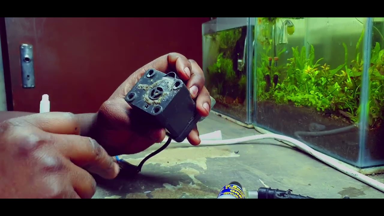 How to make your own DIY aquarium filter. DIY FISHTANK FILTER TUTORIAL ...