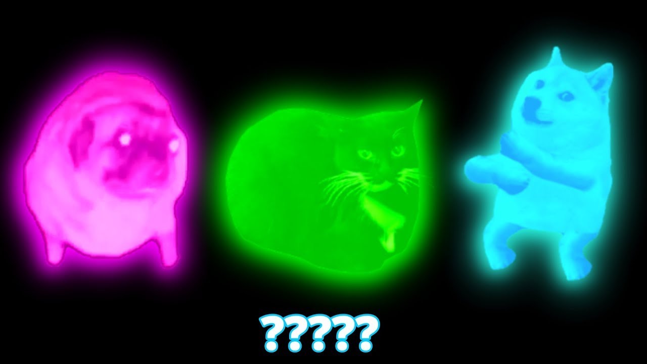 7 "Maxwell The Cat and Pug and Doge Dancing" Sound Variations In 35 ...