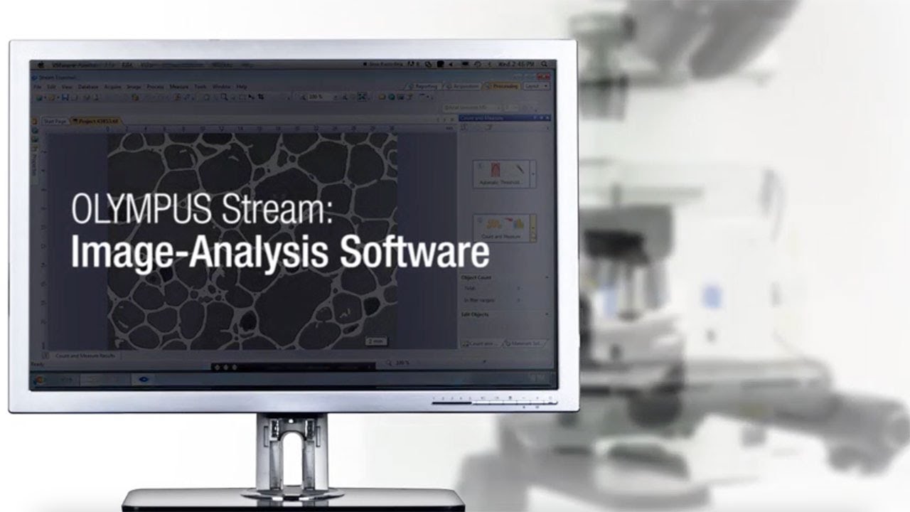 Olympus Stream Image-Analysis Software Overview - YouTube