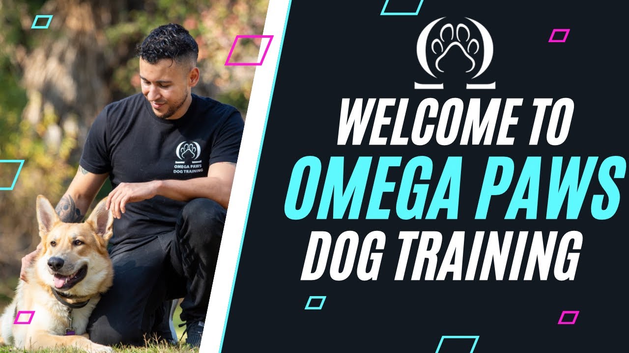 Welcome To Omega Paws Dog Training - YouTube