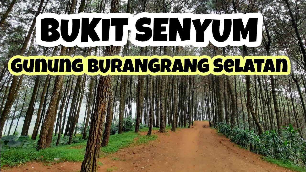 WISATA ALAM BANDUNG || BUKIT SENYUM GUNUNG BURANGRANG SELATAN # ...