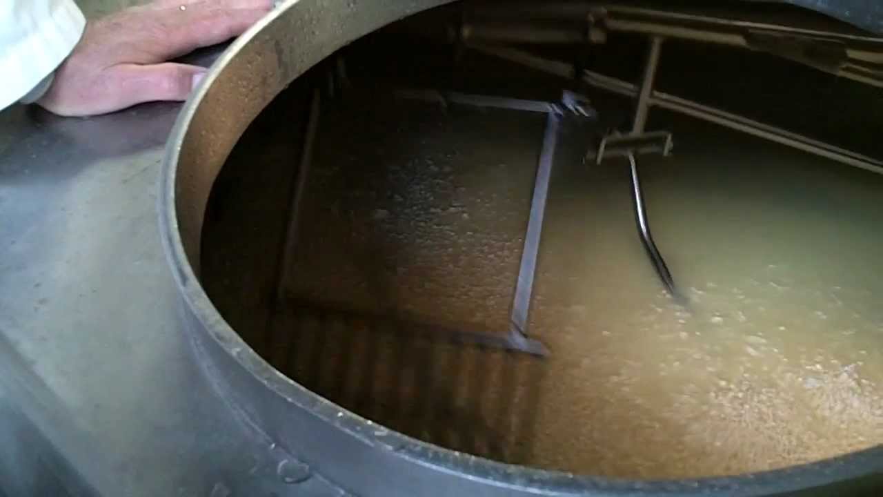 Coagulation and curdling of milk - YouTube