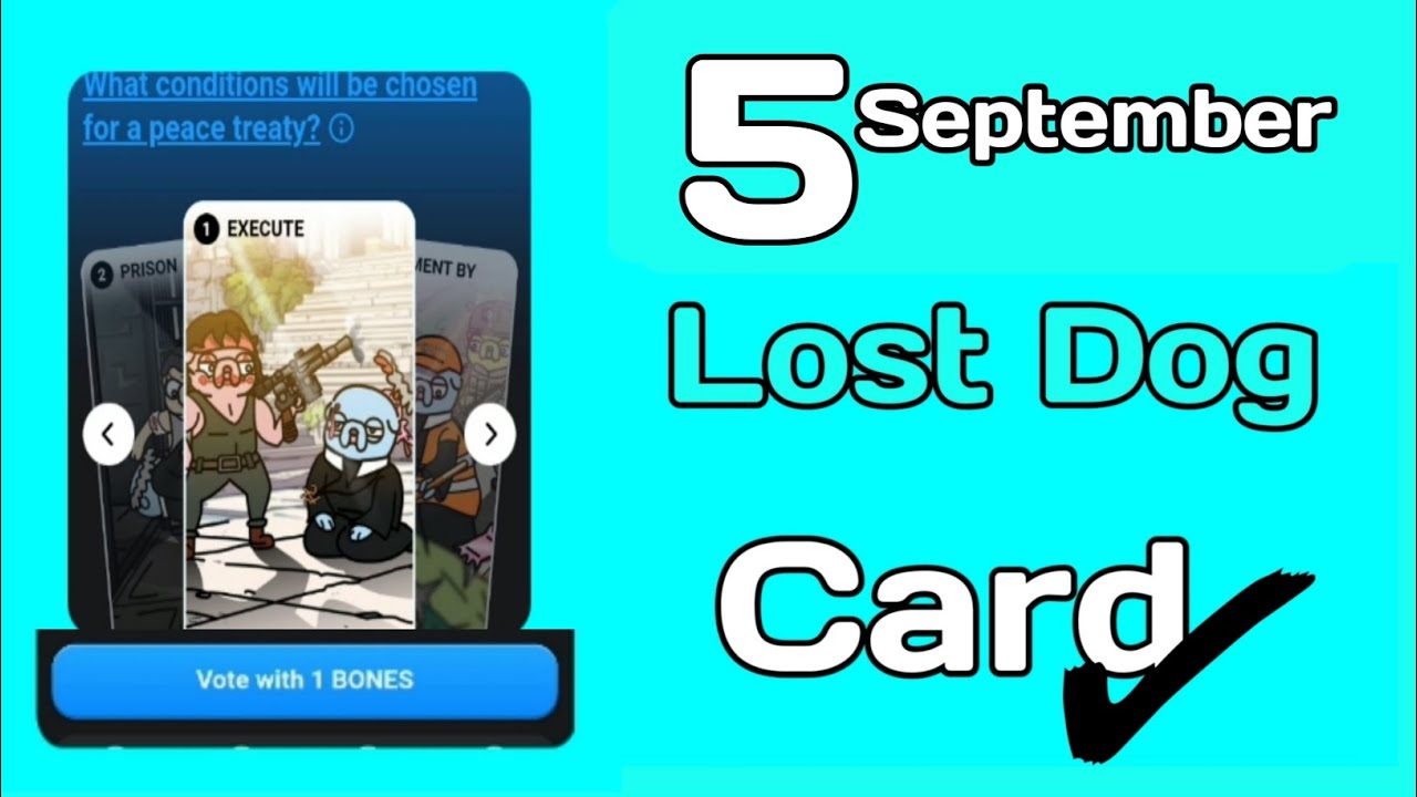 5 September Lost Dog The Way Card Suggestion ( 85% Correct ) 😲 Mohsin ...