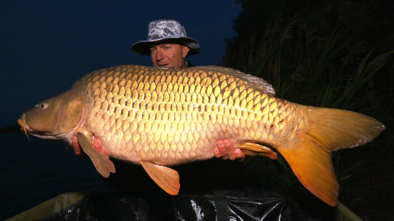 The Legend Lake - Döme Gábor - A bányató érintetlen halai - YouTube