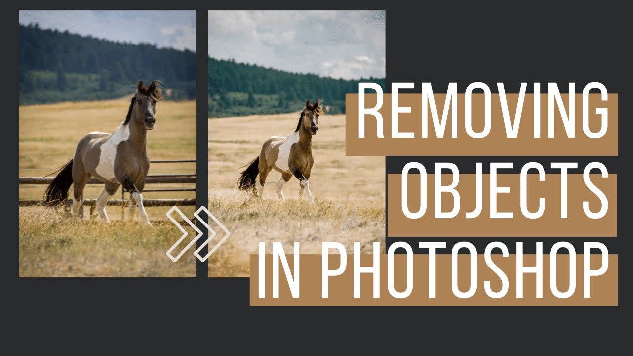 Removing Objects In Photoshop Horse Photography Photoshop Tutorial YouTube Removing Objects In Photoshop Horse Photography Photoshop Tutorial YouTube