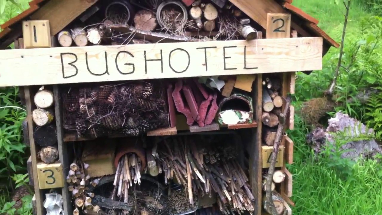 Awesome Bug Hotel/ Insect Hotel/ Bee Hotel for Encouraging Biodiversity ...