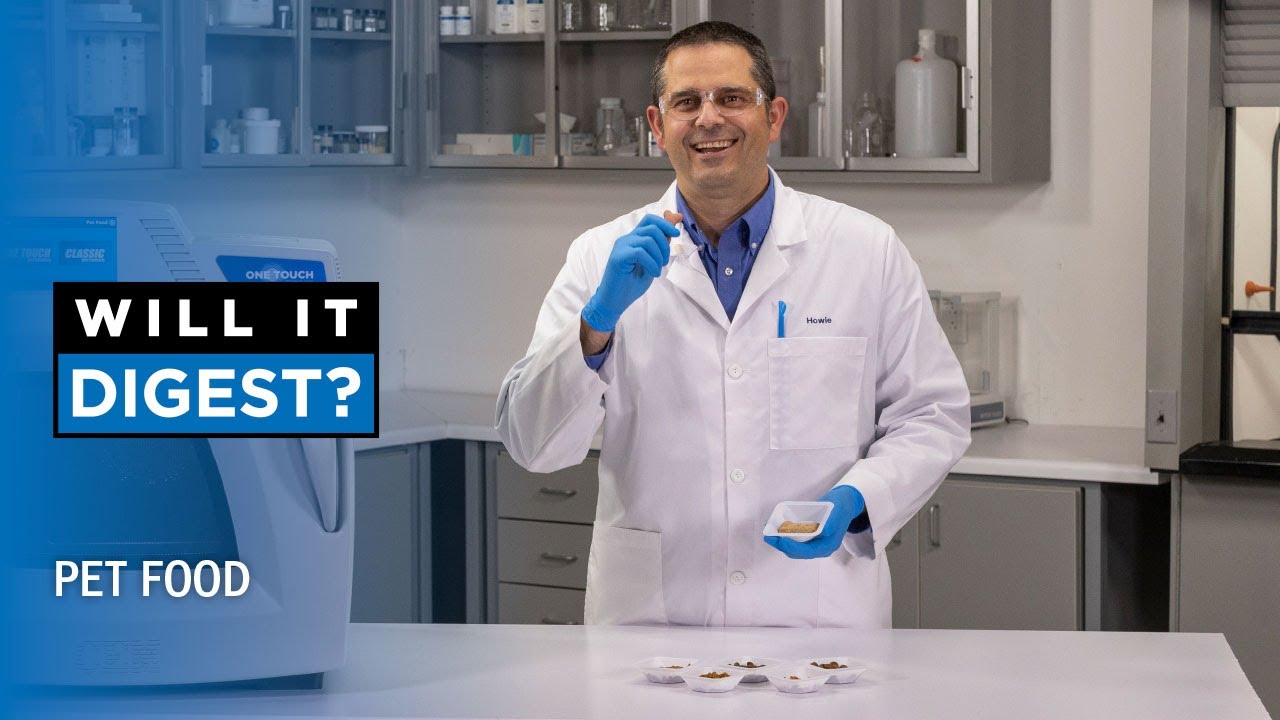 Will It Digest? Episode 20: Digesting Pet Food - YouTube