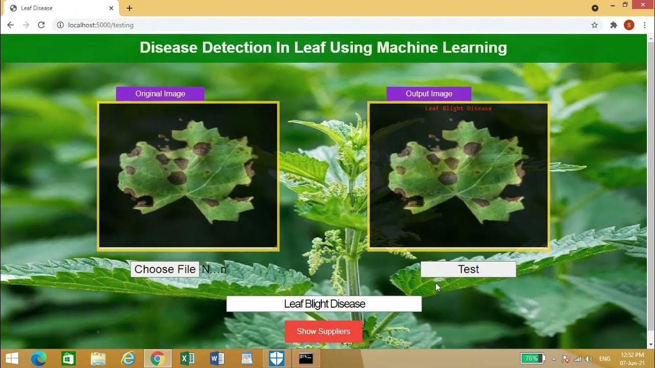 “DIESEASE DETECTION IN PLANTS USING MACHINE LEARNING” Project Execution ...