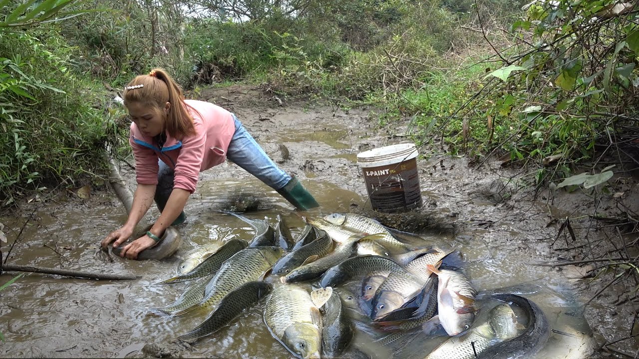 Survival Fishing - Unique fishing - Pump fishing technology - Catch a ...