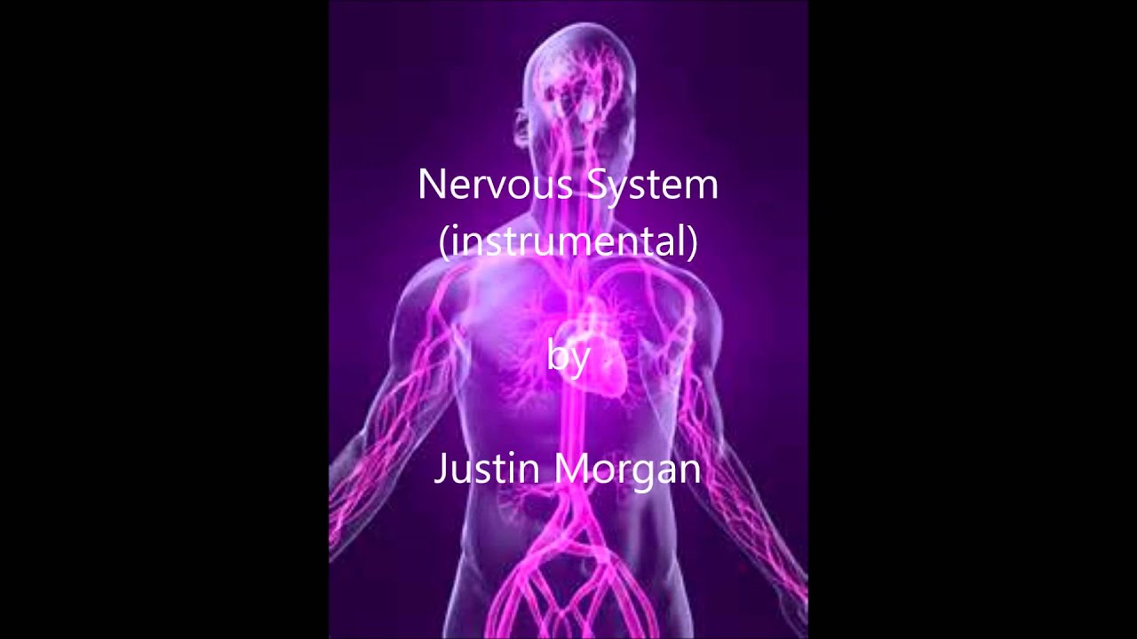 Nervous System (instrumental) - YouTube