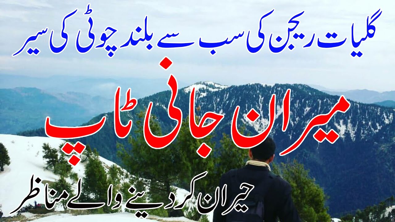 MiranJani Top | Highest mountain of Galyat region | میران جانی چوٹی ...