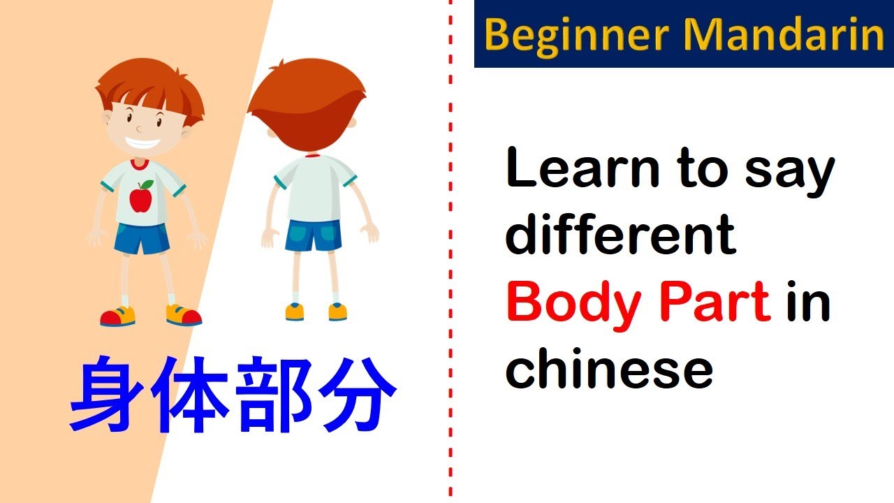 My body part - Beginner Mandarin [学中文 – 身体部分] - YouTube