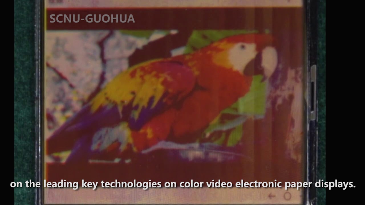 Full color Video Electronic Paper Display In China YouTube full-color-video-electronic-paper-display-in-china-youtube