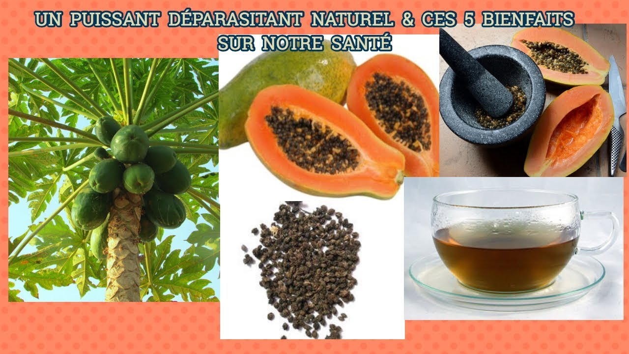 UN PUISSANT DÉPARASITANT NATUREL ET CES 5 BIENFAITS SUR NOTRE SANTÉ ...