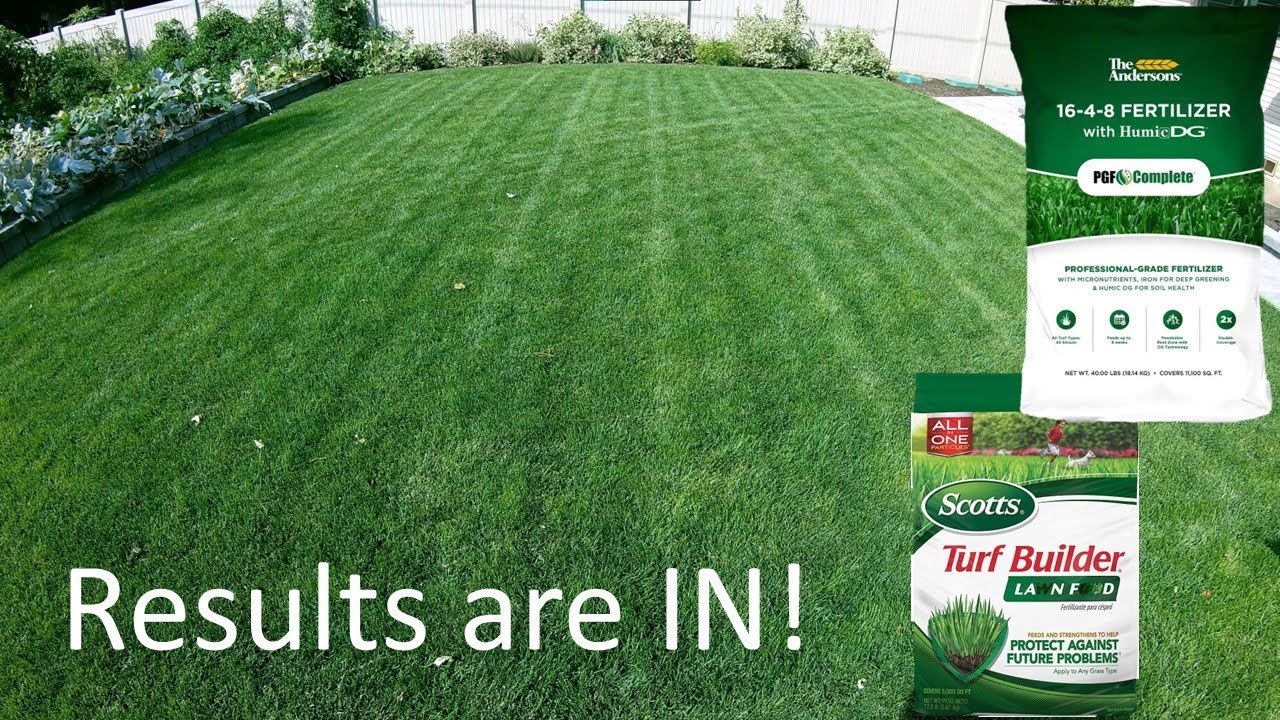 Part 7.5 – Results of Special Early Fall Fertilizer Combo! - YouTube