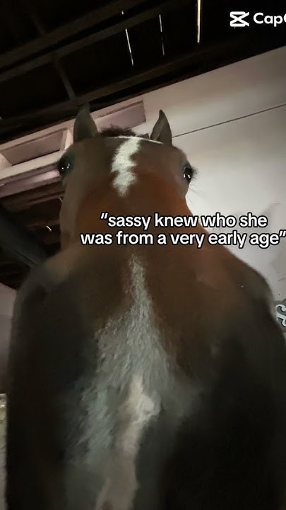 Sassy 😛 If You Didnt Know Her Name Is Sassy Youtube