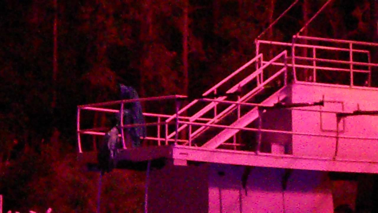 The Bagging of the Fish - Disney's Fantasmic - YouTube