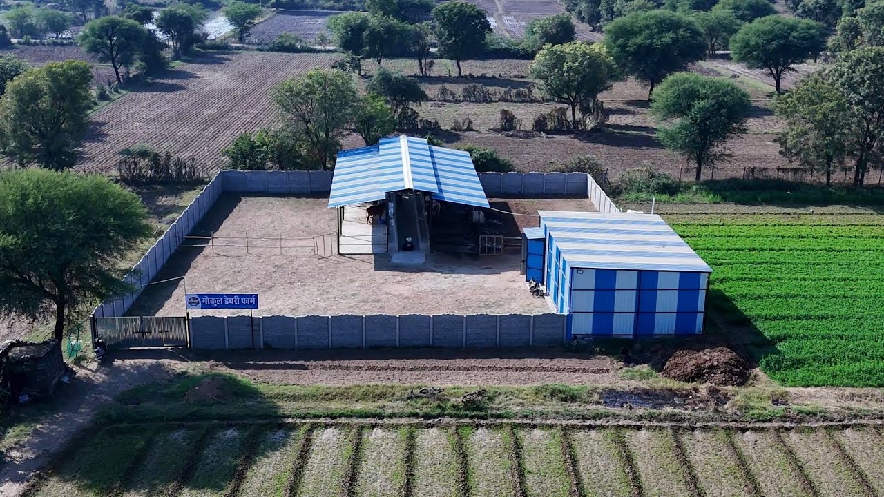 Gokul Dairy Farm Rajsamand | Documentry Film - YouTube