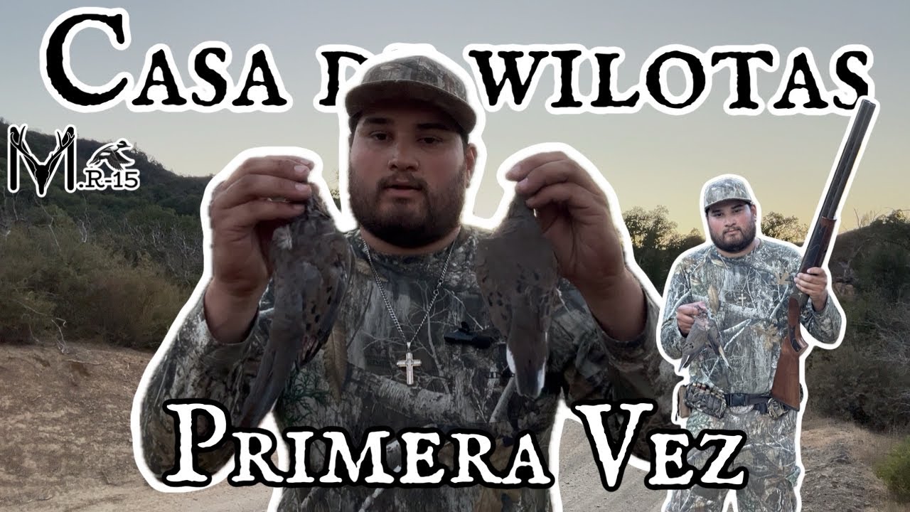 Caseria De Wilotas!! Norte de California. Dove Hunting - YouTube