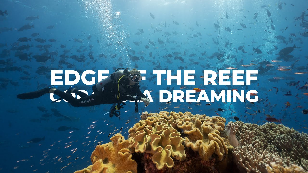 The Breathtaking Great Barrier Reef | Coral Sea Dreaming Film - YouTube