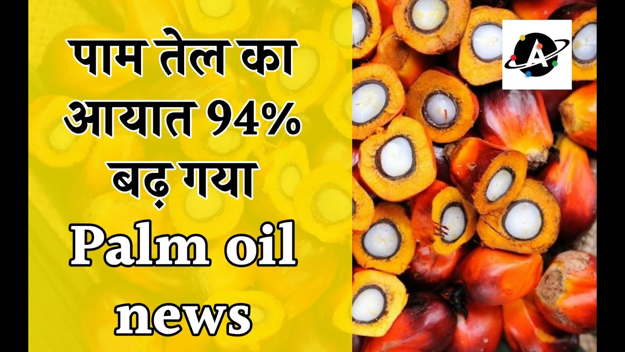 पाम तेल का आयात 94 बढ़ गया Palm Oil News Youtube