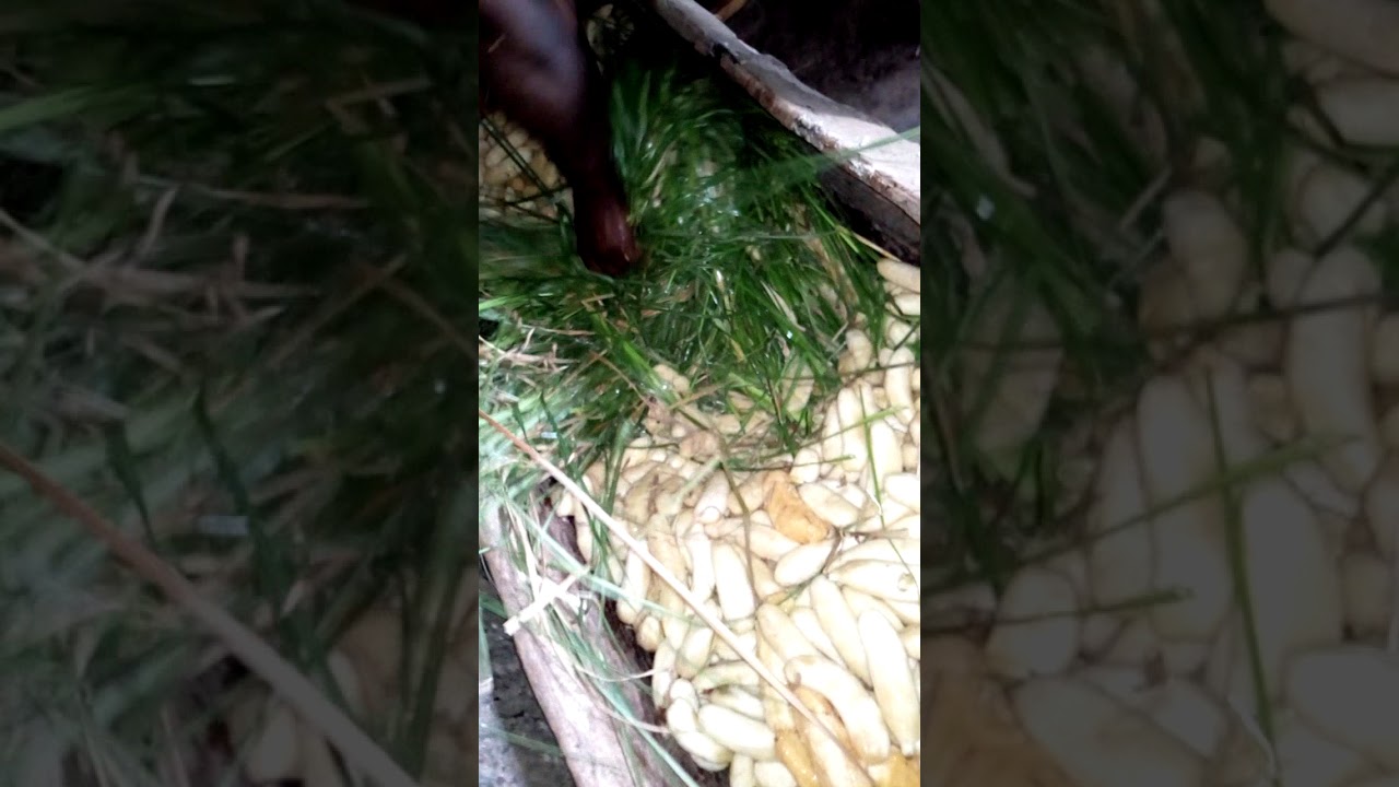 Dore uko umutobe uboneka - YouTube