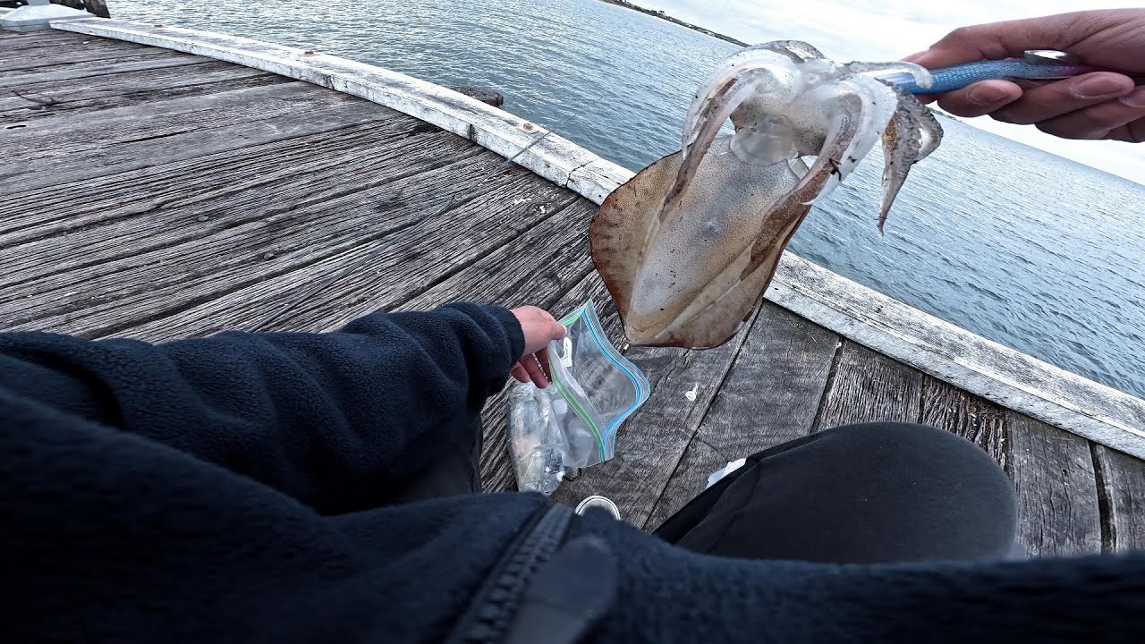 SQUIDDING OFF ST LEONARDS PIER: MY OLD STOMPING GROUNDS! EP.85 - YouTube