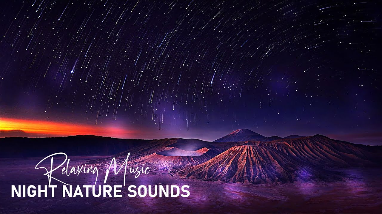 Relaxing Music and Night Nature Sounds Soft Crickets, Beautiful Piano ...
