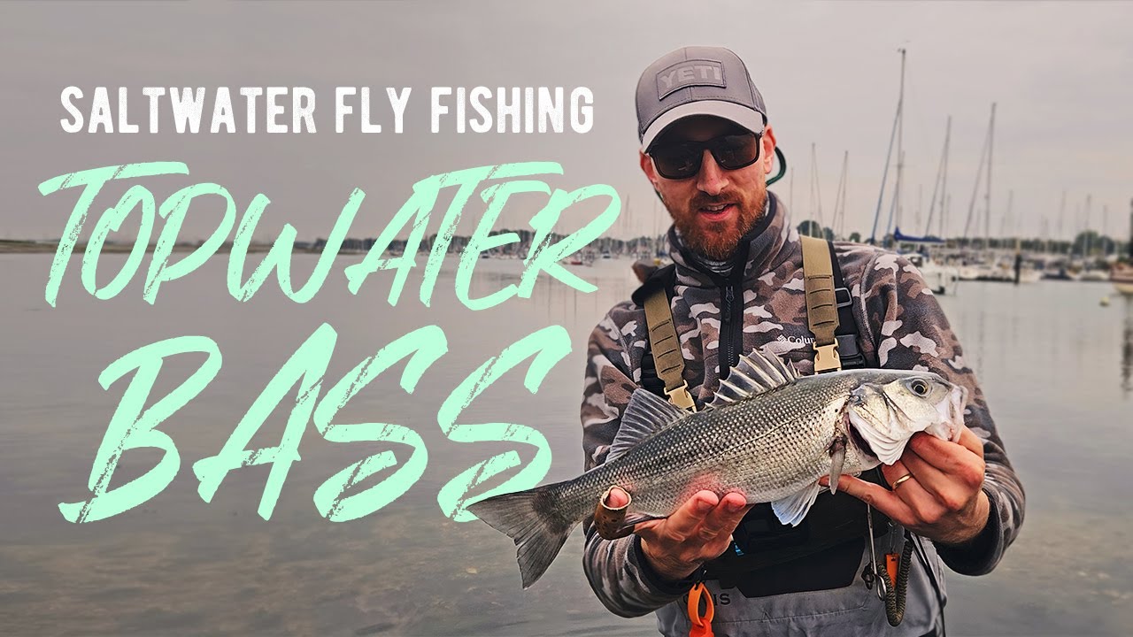 Bass Exploding on Topwater Flies | Saltwater Fly Fishing UK - YouTube