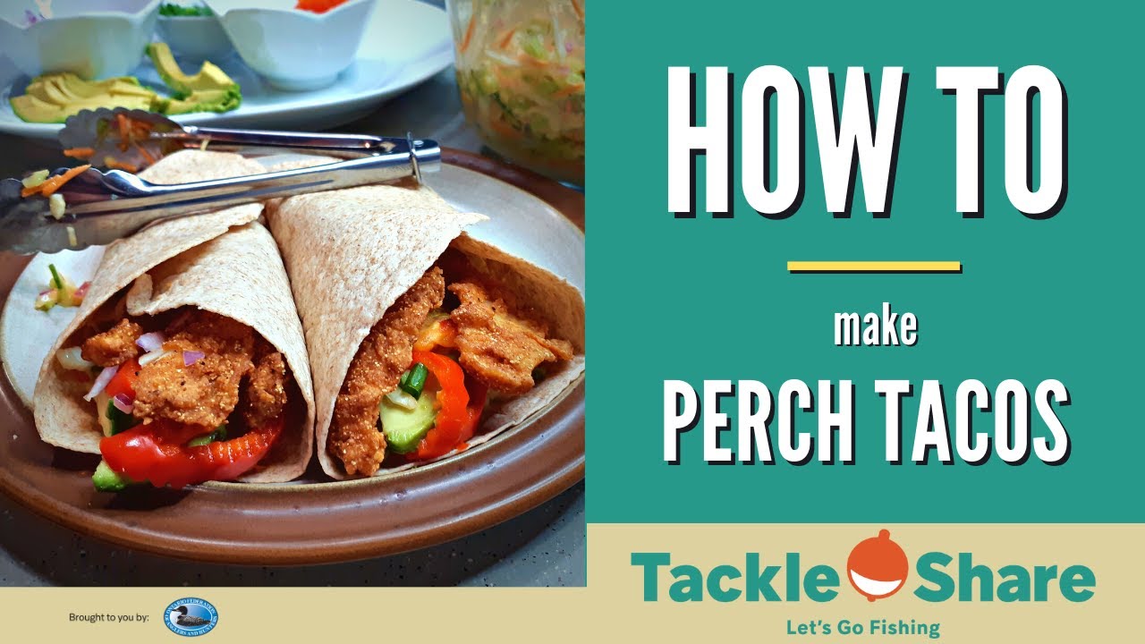How to make PERCH TACOS - (Stretch a handful of fish into a family meal ...