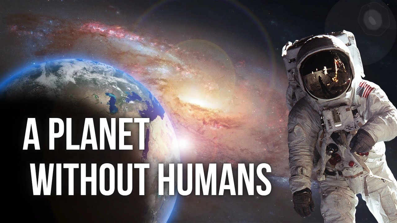 💥 What If Humans Suddenly Disappeared? 🌍 - YouTube