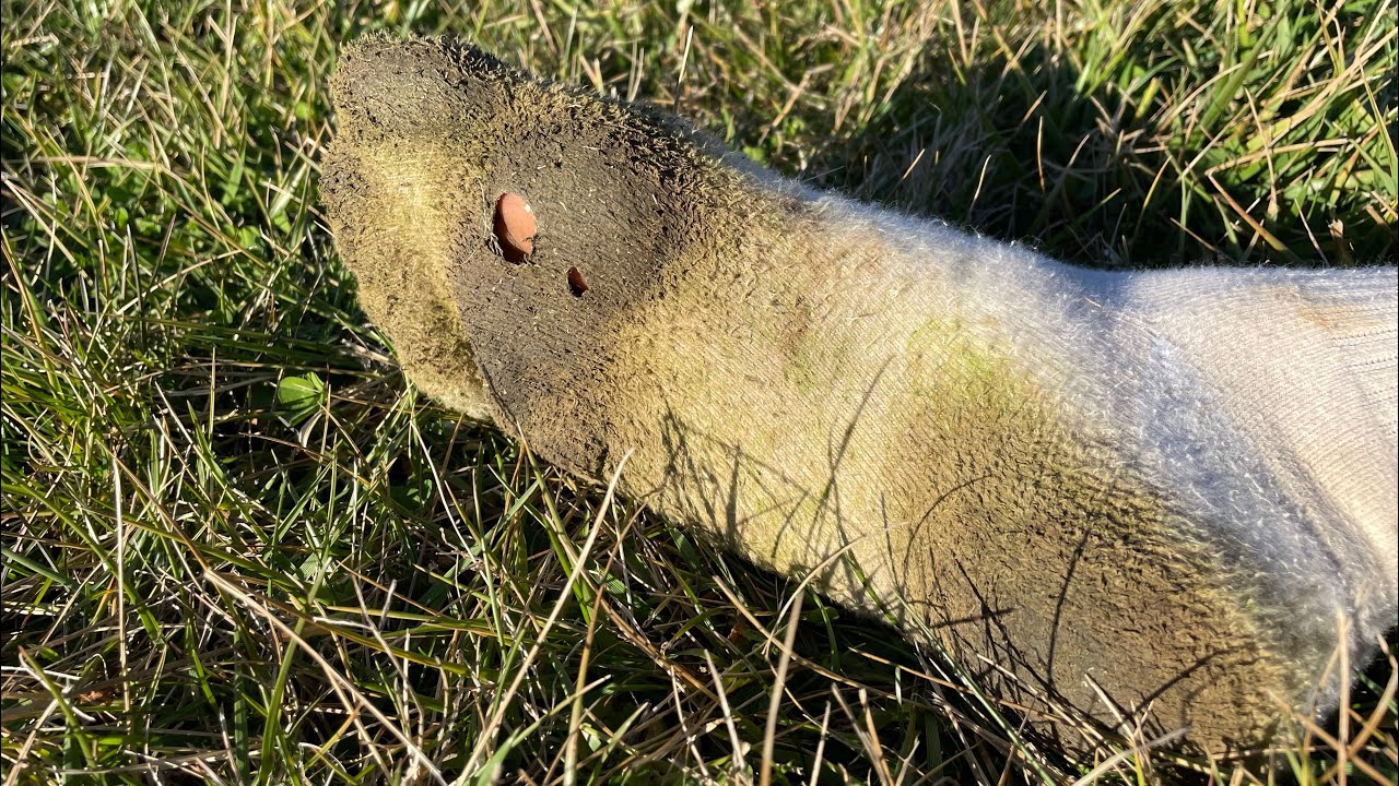 Soggy. Socks. - YouTube