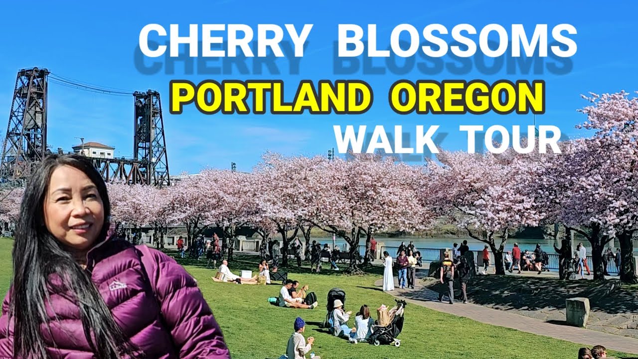 Portland's Cherry Blossoms in bloom at Waterfront Oregon- Walking Tour ...
