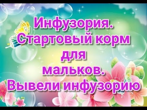📌Инфузория.Стартовый корм для мальков.Вывели инфузорию - YouTube