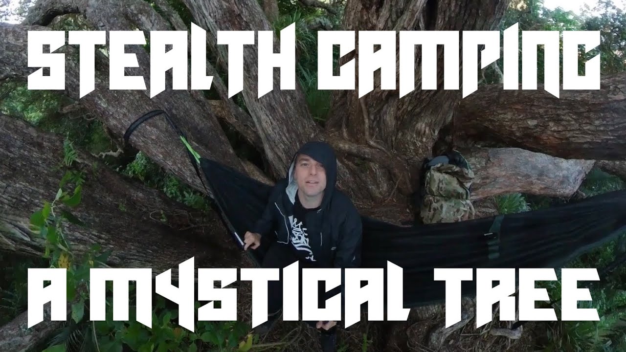 Mystical Tree | Stealth Camping 🌳🥷 - YouTube