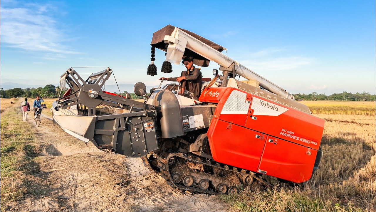 Kubota King Pro Harvester Machine Paddy Cutting performance | New model ...