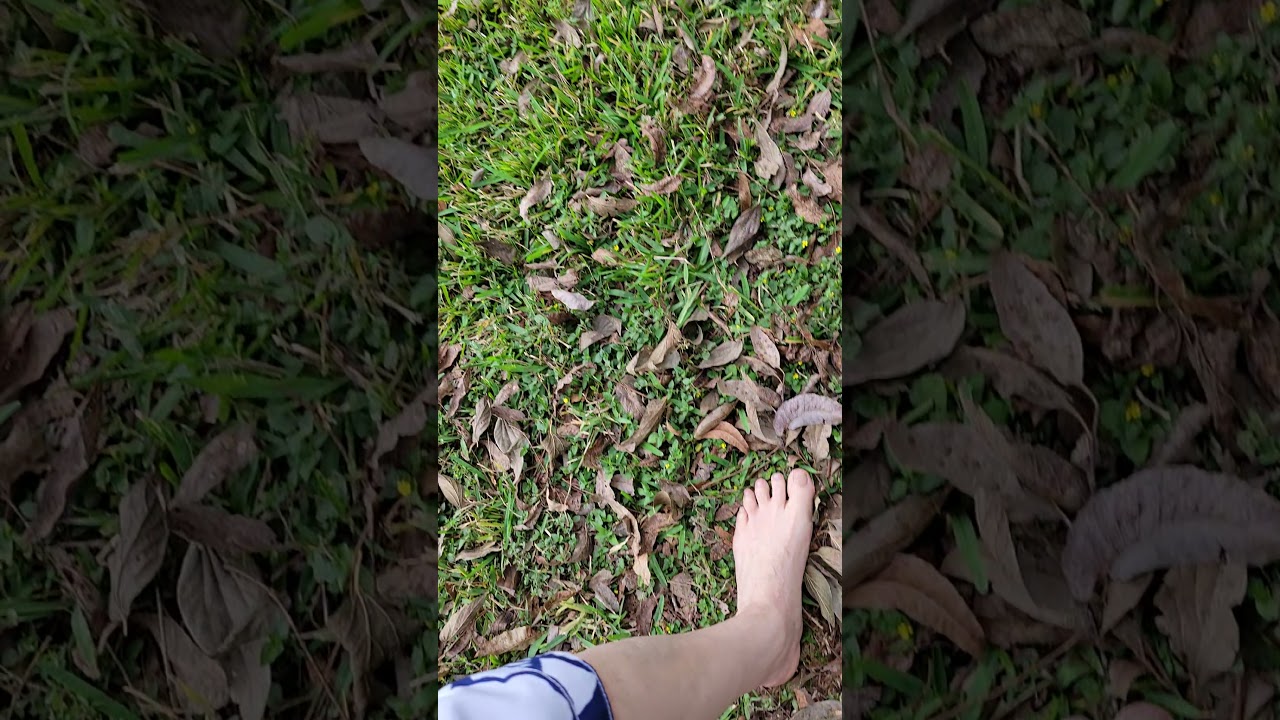 #Zeke Eller_Media I own #YesWeCan #ElectionRoundup #Tuesday #Nov2_2021 ...