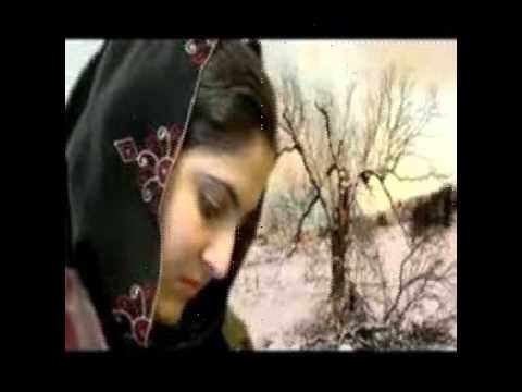 Rohallah wardak 2010 music