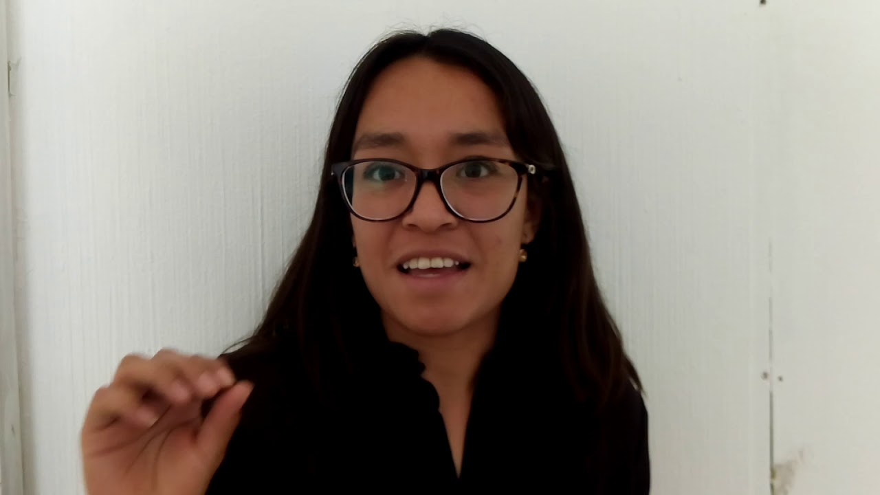 Brenda Balderas pelea en Canadá - YouTube