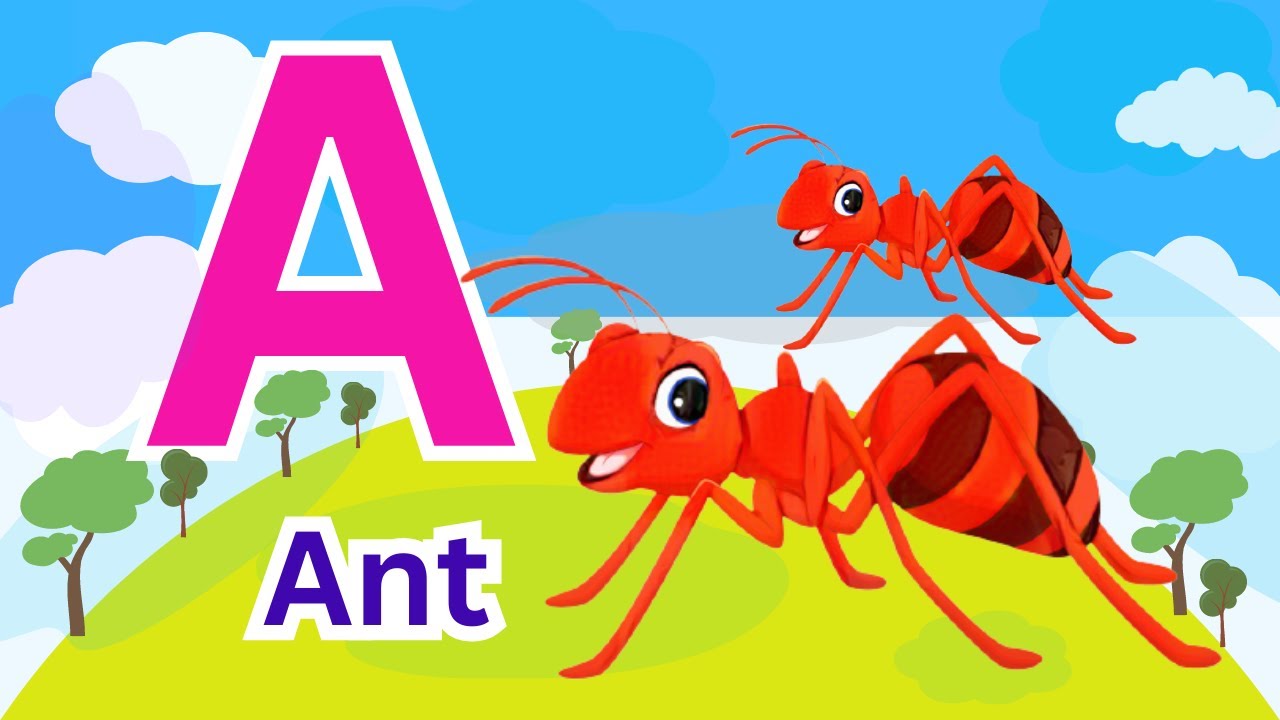 A for Ant | B for Bus | Phonics song| abcd| English Alphabets| abcd ...