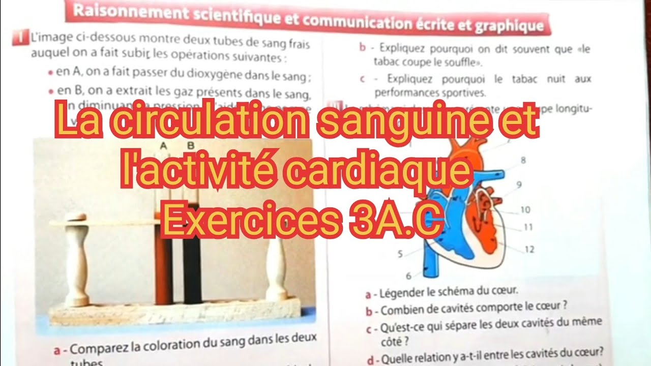 Univers plus SVT 3AC P63 Correction des exercices Chap4 (Raisonnement ...