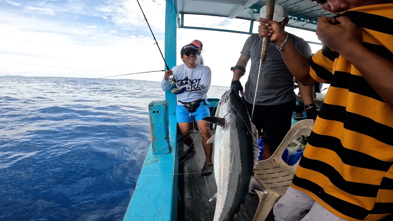 ULTIMATE Tuna Spots Southern Palawan 2025: Where to Find Giant Tuna ...