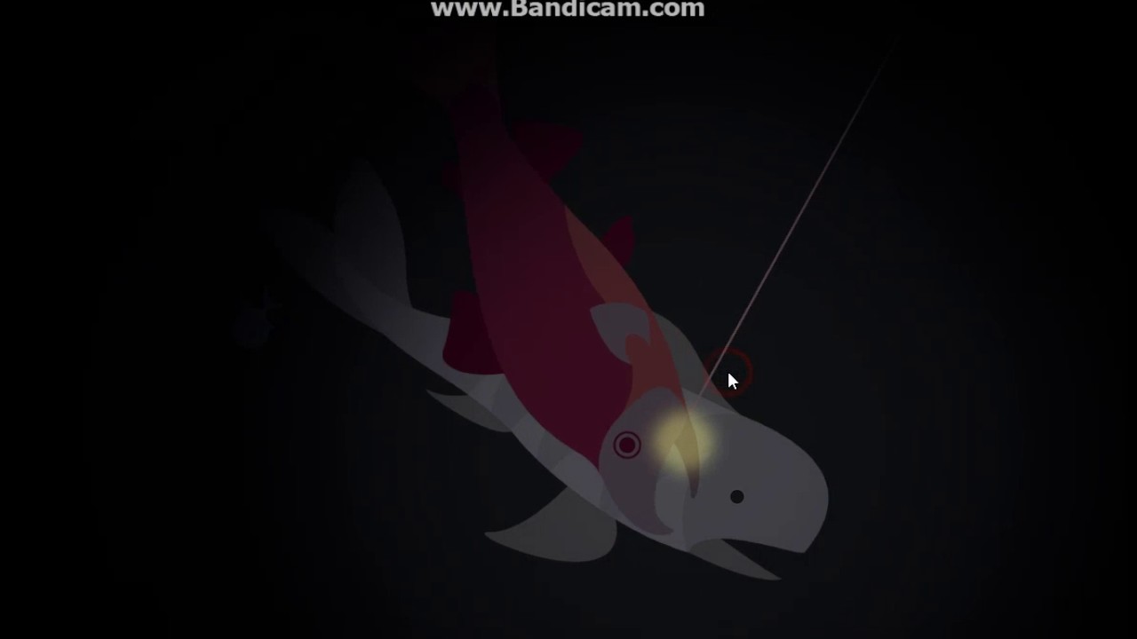 Jak złapać Noctisa?|How to catch Noctis?/Cat goes fishing - YouTube