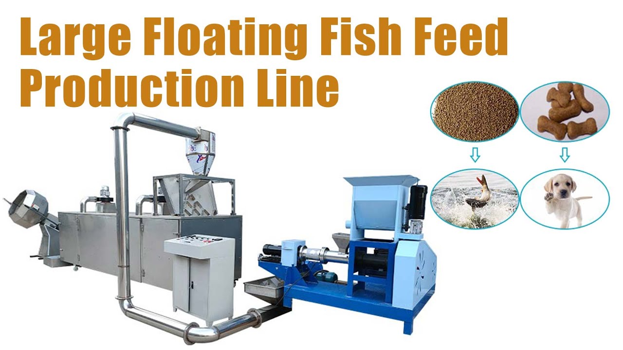 Power of Large Floating Fish Feed Production Line: High-Quality Fish ...