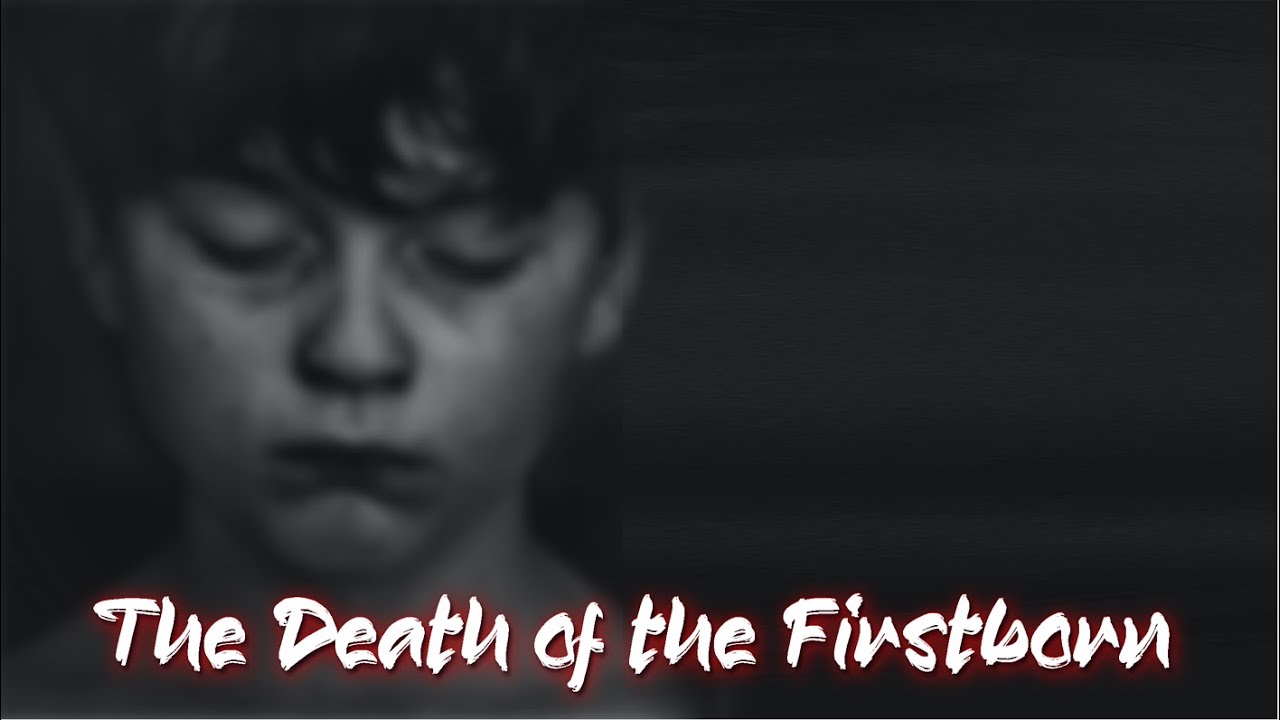 The Showdown Concludes - the 10th Plague - Death of the First Born ...