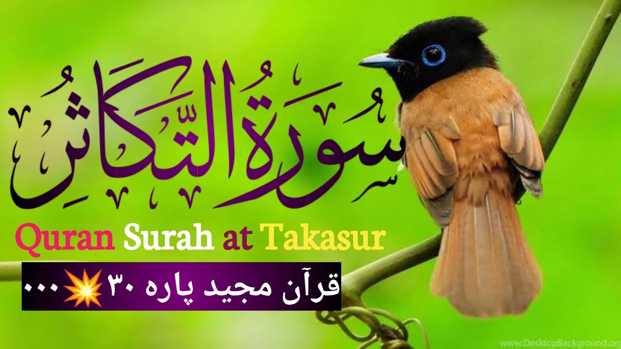 Surah At Takasur Full / surah at takasur full HD arabic text )} Quran ...